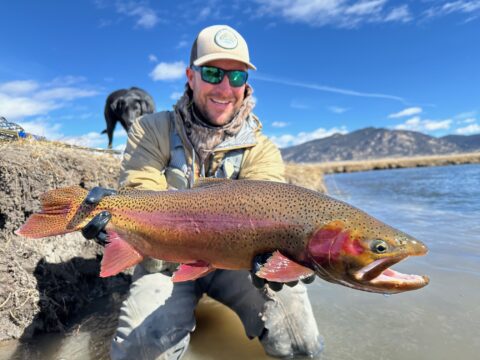 Dream Stream Fishing Report - Colorado Trout Hunters