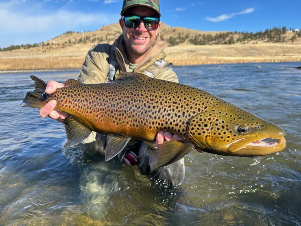 Fall Dream Stream Report - Colorado Trout Hunters